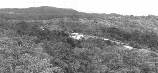 Unasylva - No. 83 - Forestry views of American Samoa