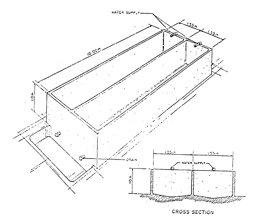 SEABASS (LATES CALCARIFER) CULTURE IN THAILAND