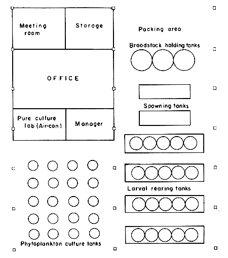 WORKING PARTY ON SMALL-SCALE SHRIMP/PRAWN HATCHERIES IN SOUTHEAST ASIA