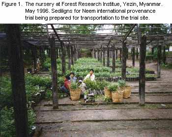 RECENT ACTIVITIES OF THE INTERNATIONAL NEEM NETWORK