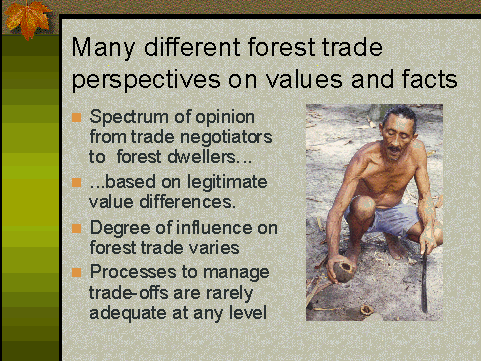 Trade and Sustainable Forest Management - Impacts and Interactions
