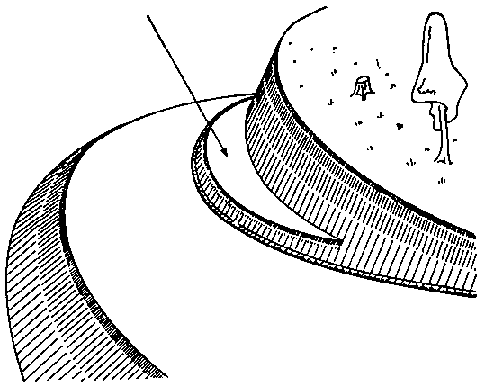 Unasylva - No. 70 - Forest roads in the tropics - I
