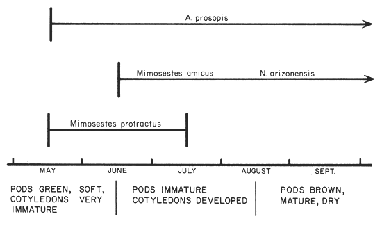 handbook on seed insects of Prosopis species