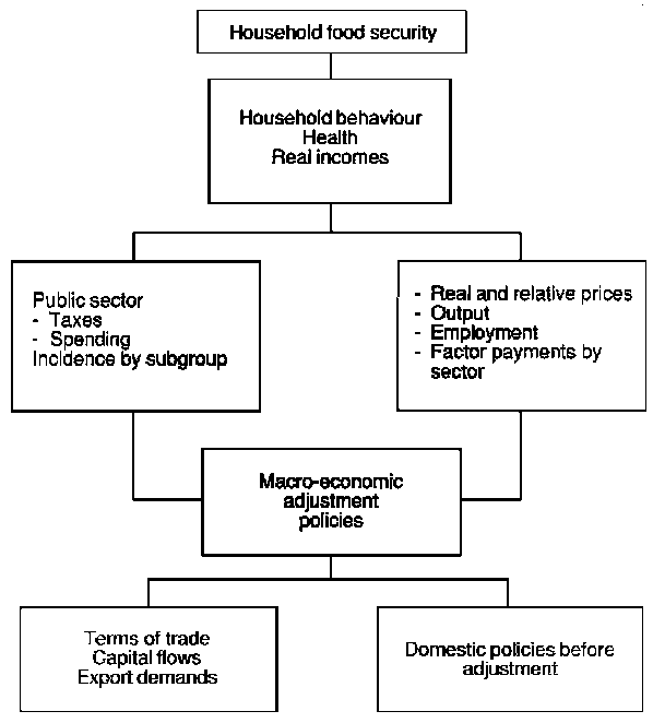 Implications of structural adjustment for household food security in Africa