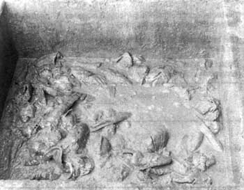 Fish silage for feeding livestock