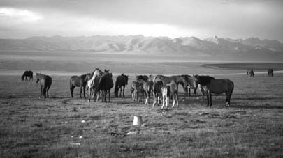 WAR 88 Intensification or extensification: which has the lowest ...