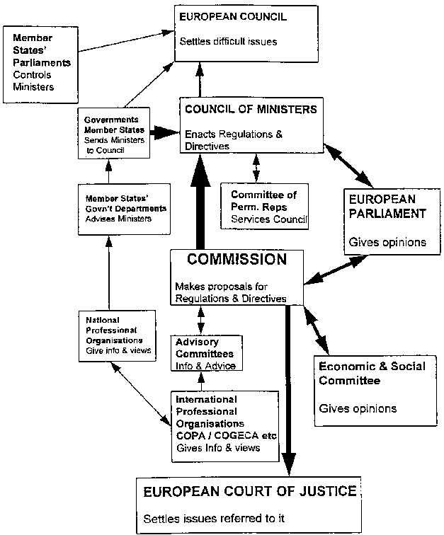III. THE DECISION-MAKING MACHINERY OF THE EU