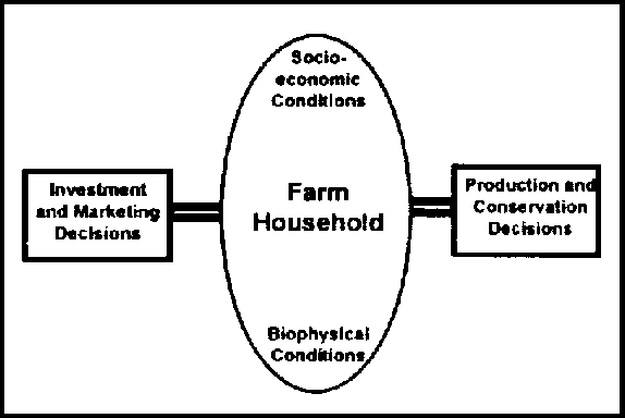 A framework for understanding agroforestry decision making at the farm ...