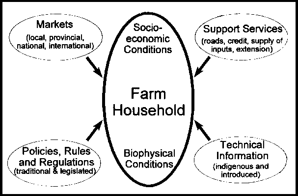 A framework for understanding agroforestry decision making at the farm ...