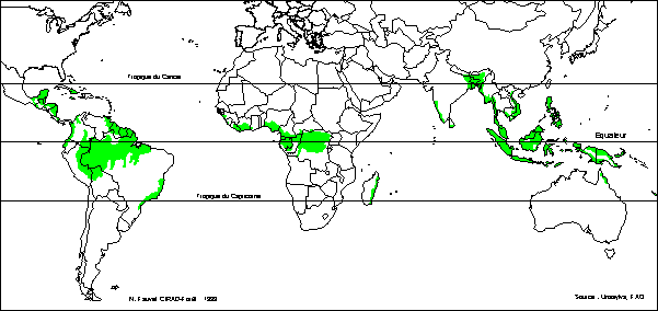 Tropical forest management techniques: a review of the sustainability ...