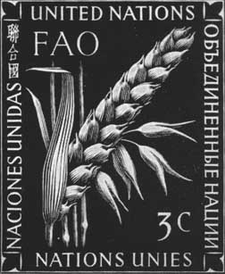 Unasylva - Vol. 8, No. 1 - Le travail de la FAO