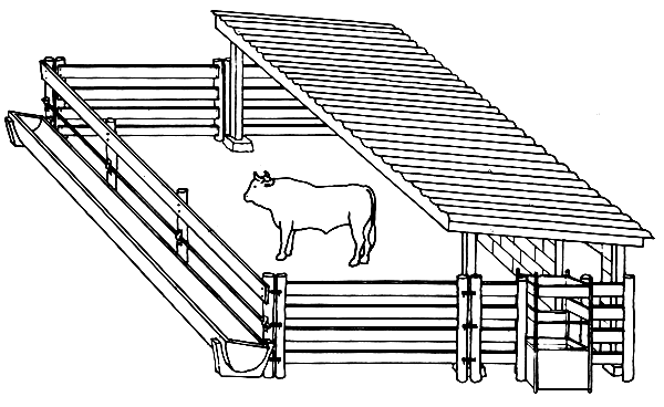 open yard housing for young cattle
