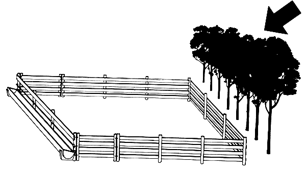 open yard housing for young cattle