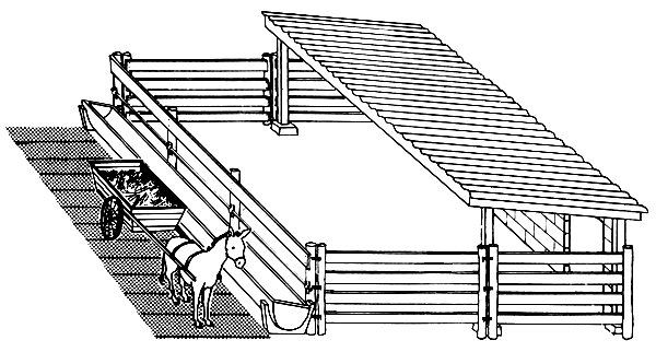 open yard housing for young cattle