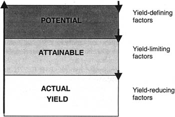 BRIDGING THE RICE YIELD GAP IN THE PHILIPPINES - Leocadio S. Sebastian ...