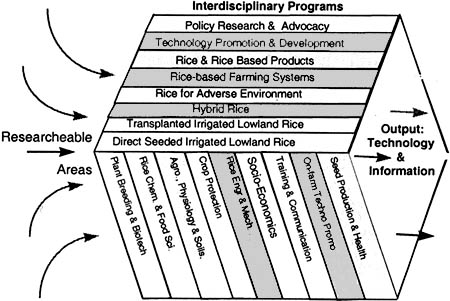 BRIDGING THE RICE YIELD GAP IN THE PHILIPPINES - Leocadio S. Sebastian ...