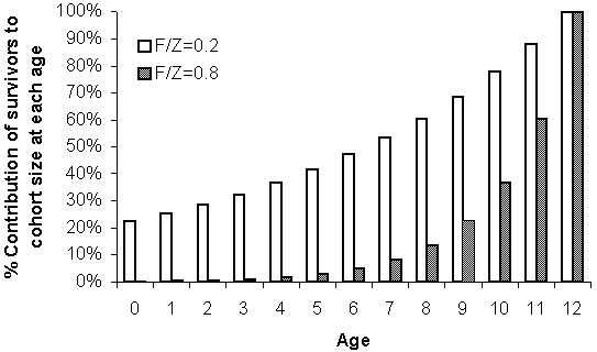 Virtual Population Analysis A Practical Manual for Stock Assessment
