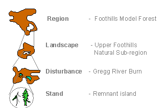 Evolution of adaptive forest management in a historic Canadian forest