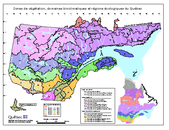 L'avenir de la forêt feuillue du Québec