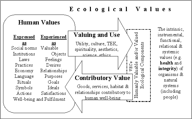 Taking account of values in forest management