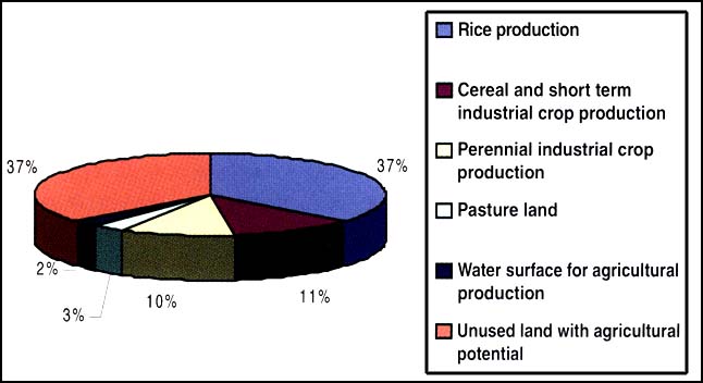 Part three: Countries' experiences in hybrid rice