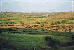 2. What novel institutional partnerships and joint working arrangements ...