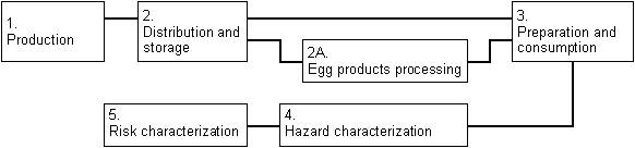 1. RISK ASSESSMENTS OF SALMONELLA IN EGGS AND BROILER CHICKENS ...