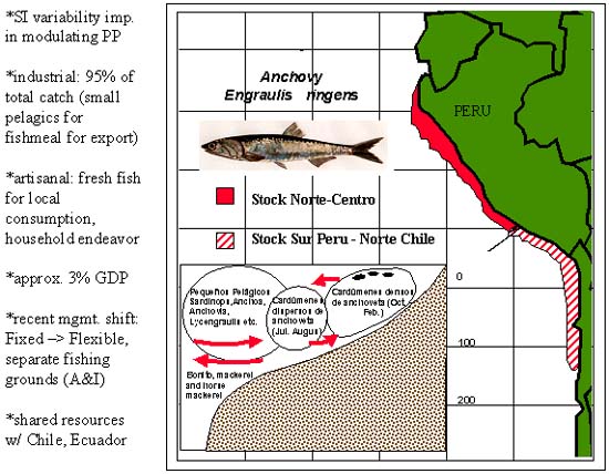SOME SHARED FISH STOCKS OF SOUTH EASTERN PACIFIC (by Jorge Zuzunaga)
