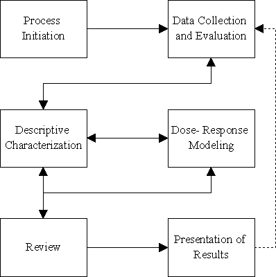 2. THE PROCESS OF HAZARD CHARACTERIZATION