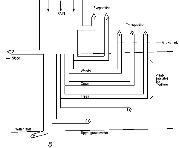 2. HYDROLOGY, SOIL ARCHITECTURE AND WATER MOVEMENT