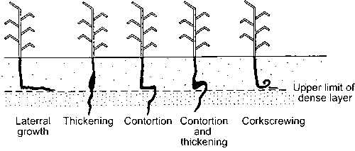 2. HYDROLOGY, SOIL ARCHITECTURE AND WATER MOVEMENT