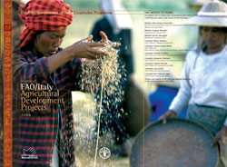 Review of FAO/Italy Agricultural Development Projects