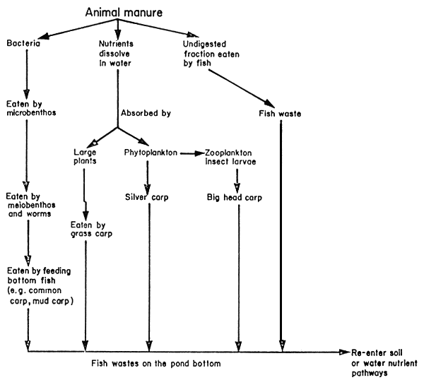 REPORT NO 7 RESEARCH PLANS FOR INTEGRATED AQUACULTURE
