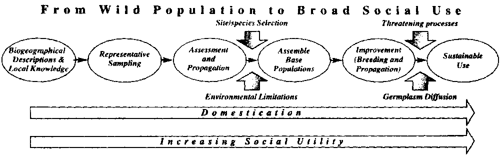 TREE DOMESTICATION: THE AUSTRALIAN EXPERIENCE IN PARTNERSHIPS WITH ...