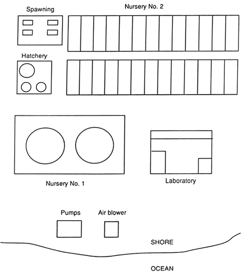 HATCHERY PRODUCTION OF TROCHUS (Trochus niloticus) IN VANUATU: A REVIEW ...