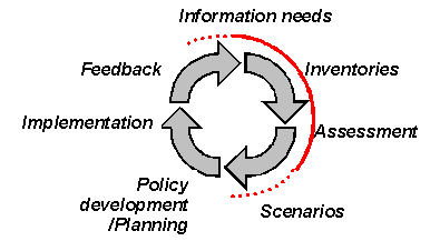 Global forest survey concept paper - FRA WP 28