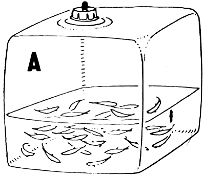 The transport of live fish. A review
