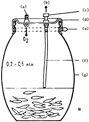 The transport of live fish. A review