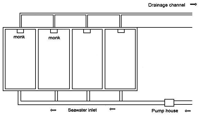 PONDS AND RACEWAYS: PROPOSALS FOR SMALL-SCALE MODEL FISH FARMS