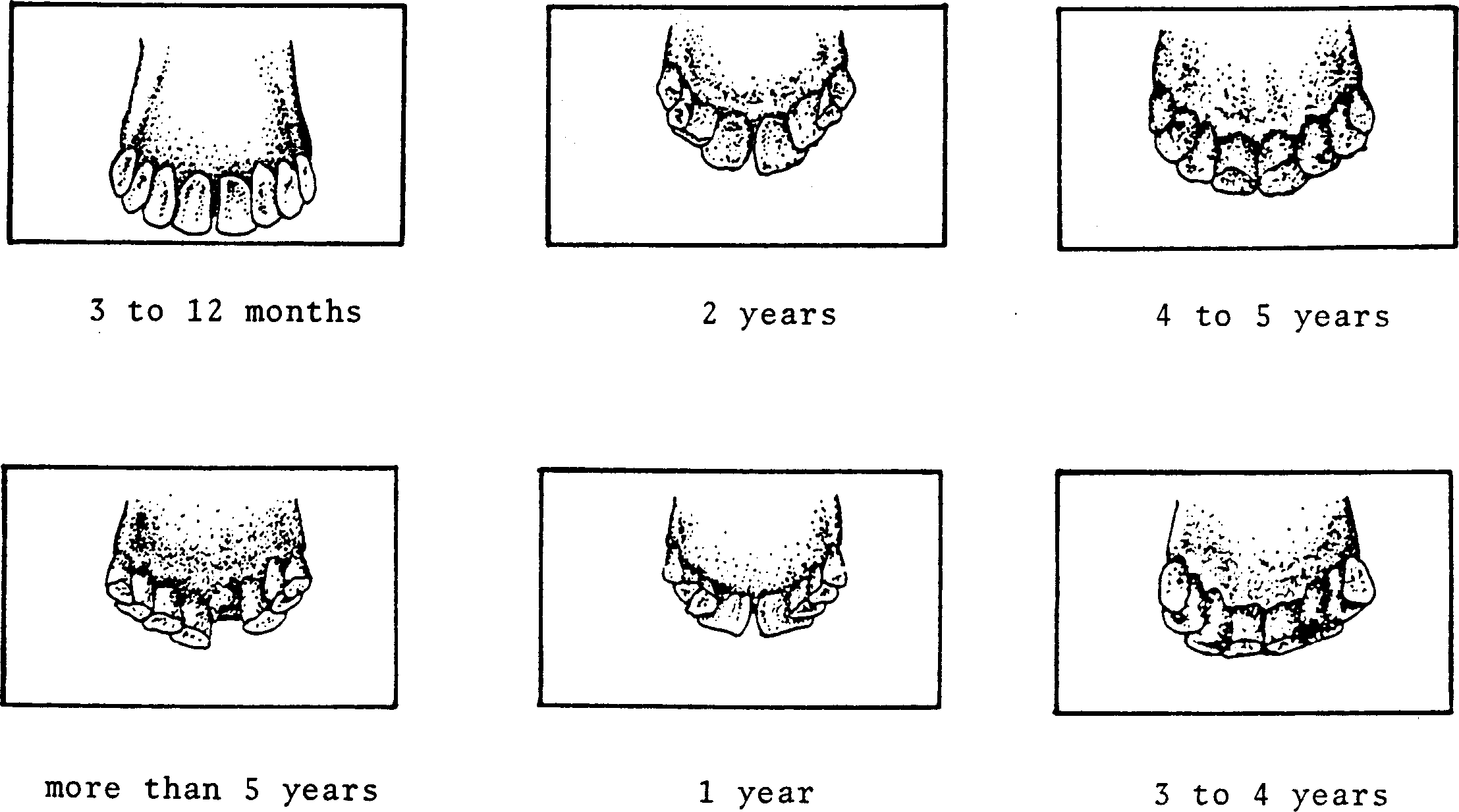 Self - Teaching Manual in Hair Sheep Production