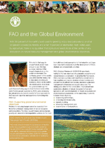 FAO and the Global Environment