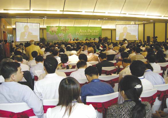 Asia-Pacific Forestry Week