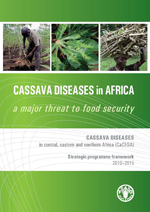 Cassava Diseases in central, eastern and southern Africa (CaCESA)