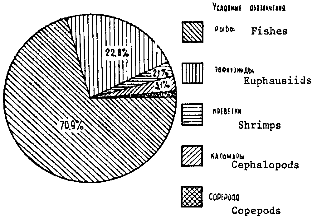 Annexe 14. MORPHO-BIOLOGICAL CHARACTERISTICS OF CARANX RHONCHUS IN THE ...