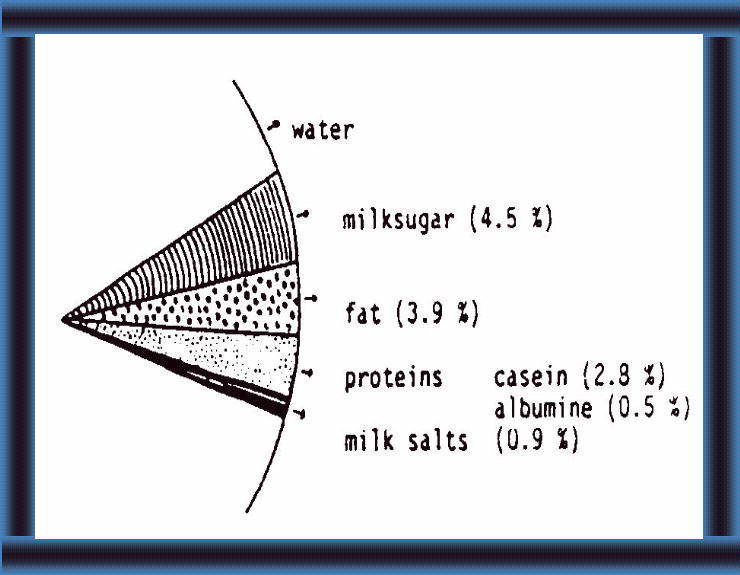 Small-Scale Dairy Farming Manual