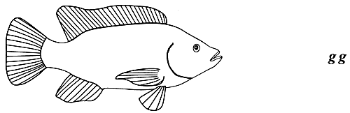 Selective breeding programmes or medium-sized fish farms