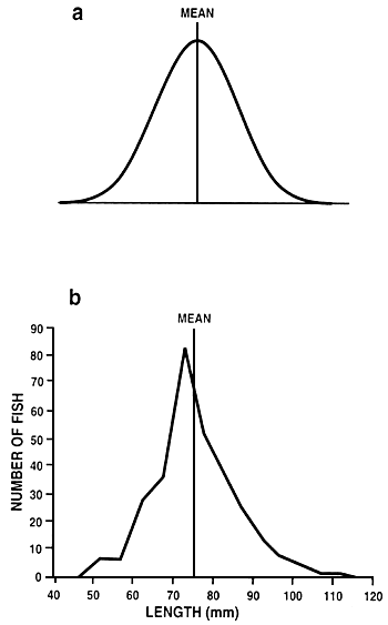 Selective breeding programmes or medium-sized fish farms