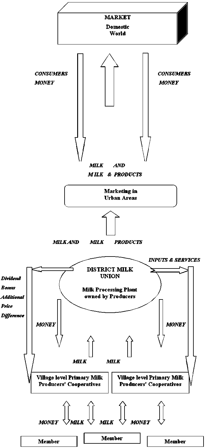 ANNEX I: CRITICAL ISSUES FOR POOR PEOPLE IN THE INDIAN DAIRY SECTOR ON ...