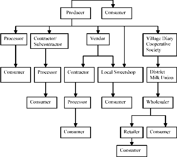 V. Socioeconomic Profile of Sample Households