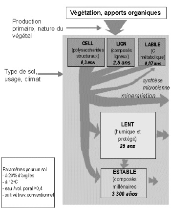 LA SÉQUESTRATION DU CARBONE DANS LE SOL POUR UNE MEILLEURE